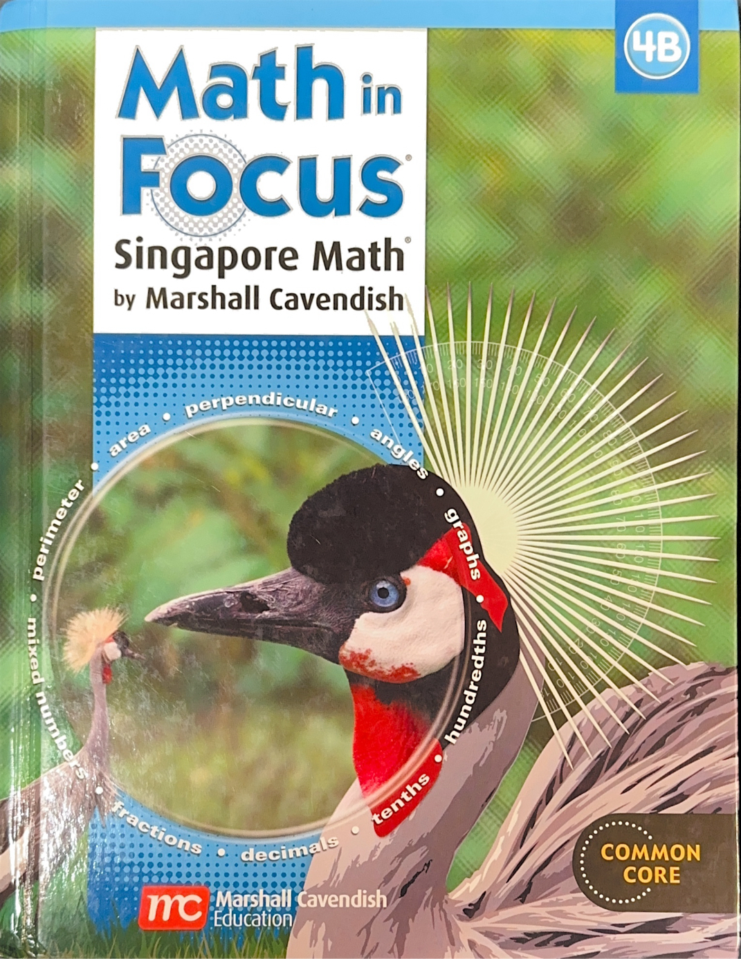 Math in Focus 4B Textbook